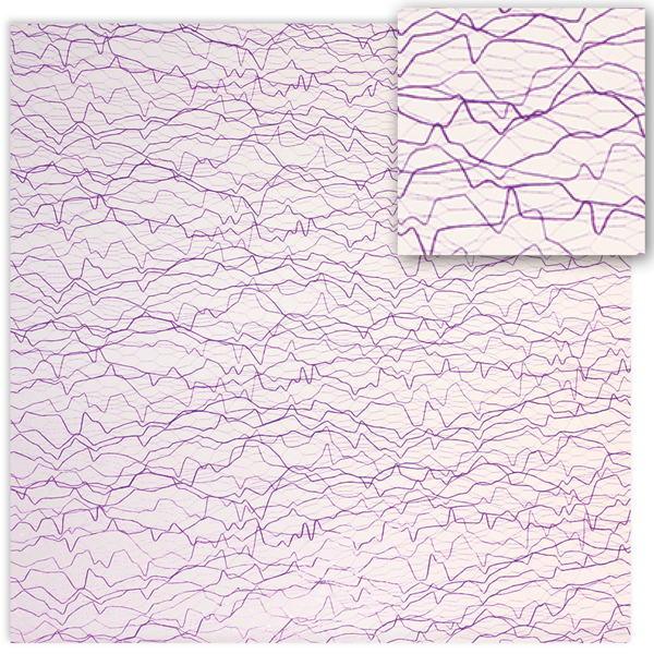 23 Inch x 23 Inch Purple Spider Mesh Square 50pk - Balloons.com