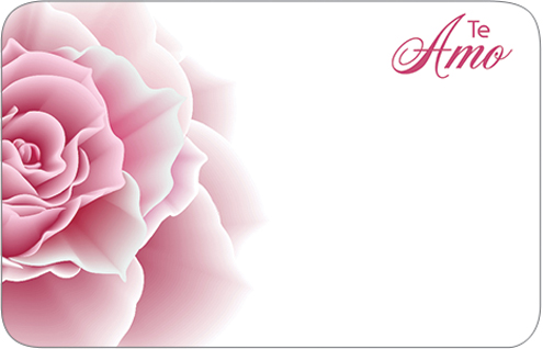 Te Amo Pink Rose Enclosure Cards 50pk - Balloons.com